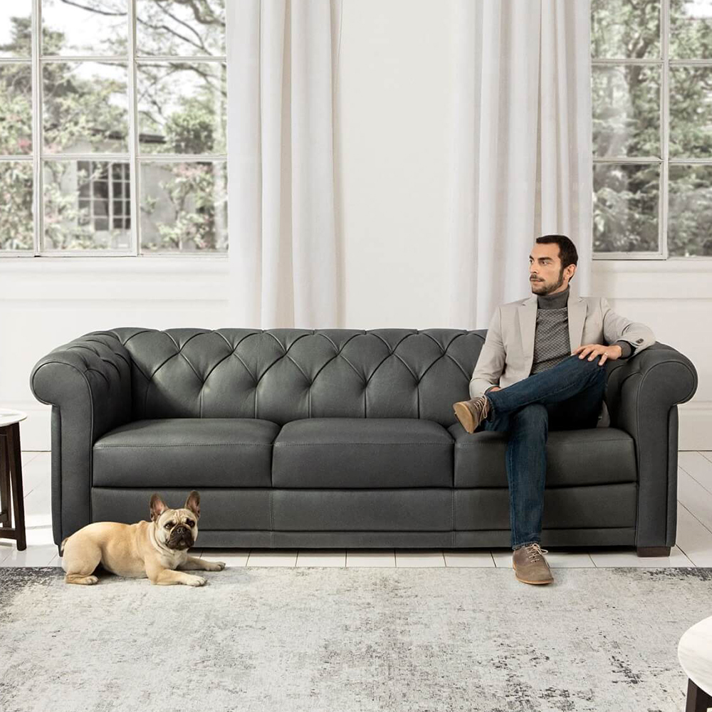 Natuzzi Sofa | Cabinets Matttroy